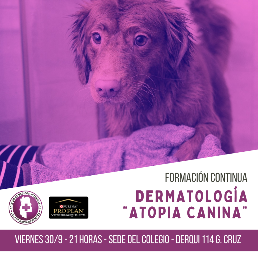 Charla: Dermatología «Atopia Canina» – Colegio de Veterinarios de la ...